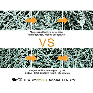 Rabbit Air Genuine Classic BioGS HEPA Filter Replacement (for: SPA-421A & SPA-582A)