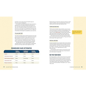 Beekeeping for Beginners: How To Raise Your First Bee Colonies