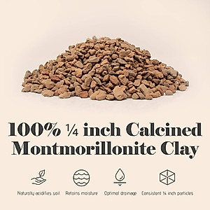 Monto Clay pH 5.6 (Montmorillonite Calcined Clay) Bonsai Soil Amendment (2 Dry Quarts)