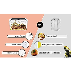 Reptile Growth Reptile Terrarium,16" x 8"x 10" Reptile Tank with Full View Visually Appealing，for Insect，Fish，Tarantula，Hermit Crab，Jumping Spider，Iguana，Tortoise，Leopard Gecko，Frog，Bearded Dragon