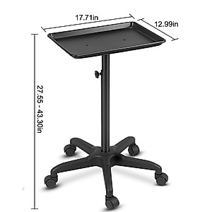 Salon Rolling Tray,Tattoo Tray Rolling Trolley Adjustable Height Utility Cart, Beauty Salon Clinic Spa Service Instrument Storage Tray(Black)