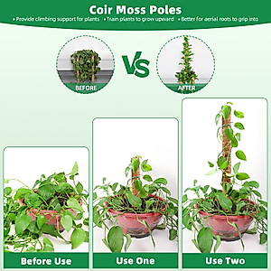 Moss Pole for Plants, 4 Pack Moss Poles for Climbing Plants, Monstera Coir Totem Pole, 15.8 Inch Moss Sticks for Plant Support, Indoor Potted Plants Train Creeper Plants Grow Upwards
