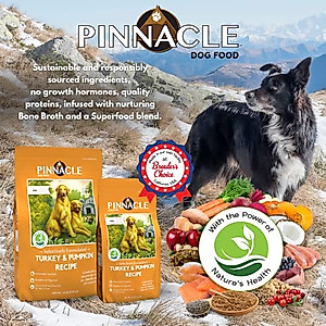 Pinnacle Pet Pinnacle Turkey & Pumpkin Dry Dog Food 4 lb, Infused with Broth