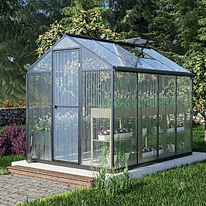 6' x 8' Walk-in Greenhouse Polycarbonate Panel Hobby Greenhouses with Aluminum Frame Heavy Duty with 1 Vent Window & Lockable Door for Outdoor,Patio, Backyard, Garden
