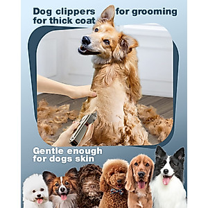 oneisall Dog Clippers for Grooming for Thick Heavy Coats/Low Noise Dog Grooming Kit/Rechargeable Cordless Pet Shaver with Stainless Steel Blade/Waterproof Dog Shaver for Dogs Pets and Animals Sliver