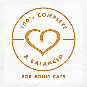 Purina Fancy Feast Gravy Wet Cat Food Variety Pack, Delights With Cheddar Grilled Collection - (24) 3 oz. Cans