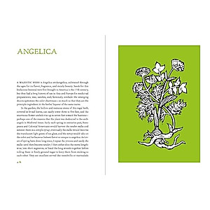 The Heirloom Gardener: Traditional Plants and Skills for the Modern World