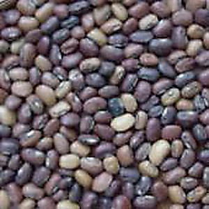 Iron & Clay Cowpeas Seeds (20+ Seeds) | Non GMO | Vegetable Fruit Herb Flower Seeds for Planting | Home Garden Greenhouse Pack