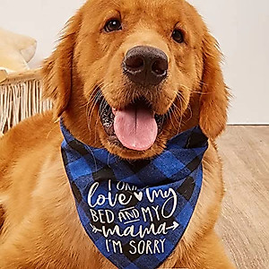 Ming Heng Funny Cute Blue Plaid Pet Dog Cat Bandana Scarf,I Only Love My Bed and My Mama, I'm Sorry,Puppy Dog Scarf Pet Birthday Gift