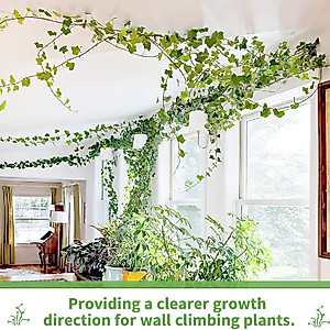LUOTIVON 72 Pcs Plant Climbing Wall Fixture Clips, Plant Fixer Invisible Wall Vines Fixing Clips with 72 Pcs Acrylic Adhesive Sticker, Self-Adhesive Hook Plant Vine Support Holder