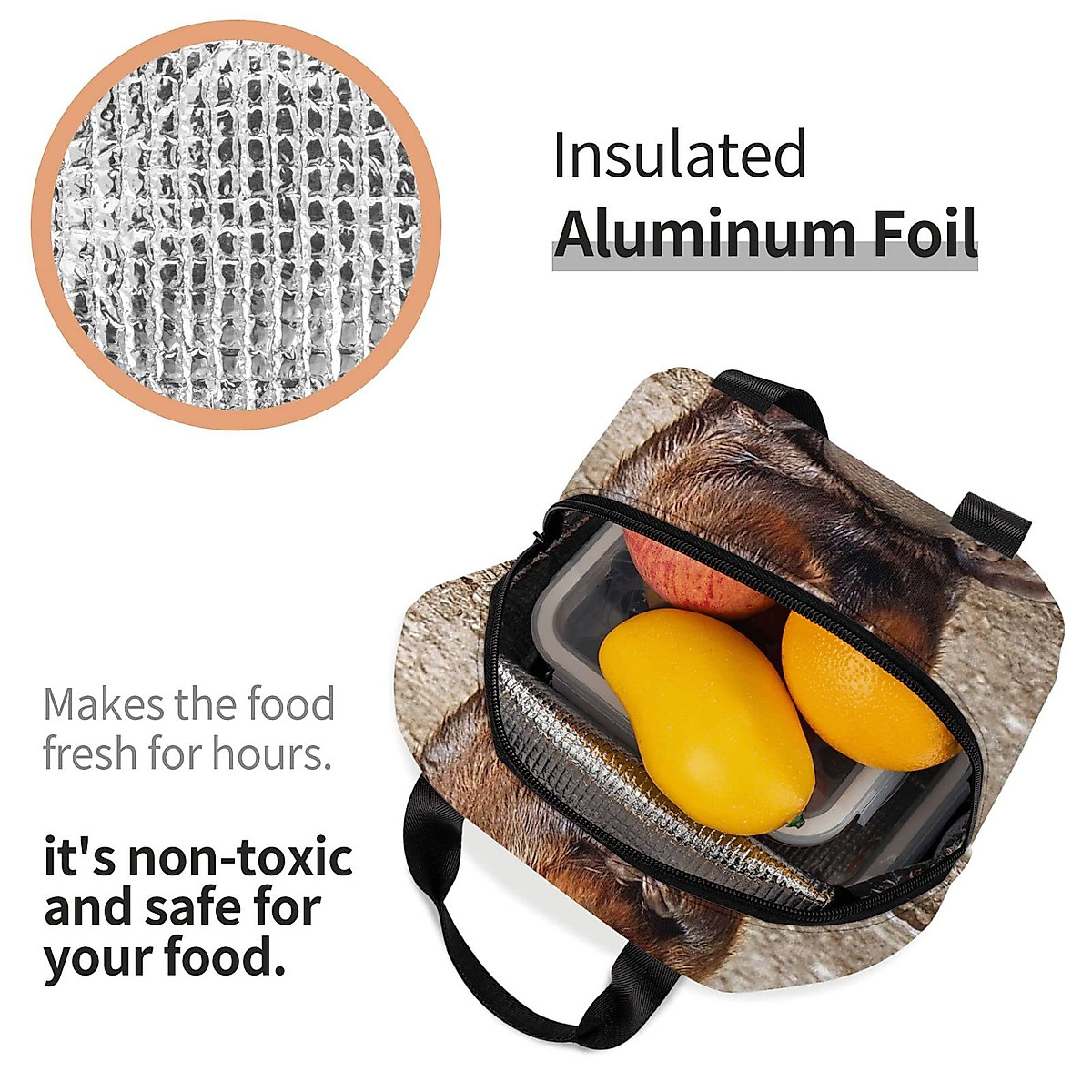 Larklitz Cute Funny Beaver Reusable Insulated Lunch Bag, 8.5in x 8in x 5in, Polyester, For Women Men