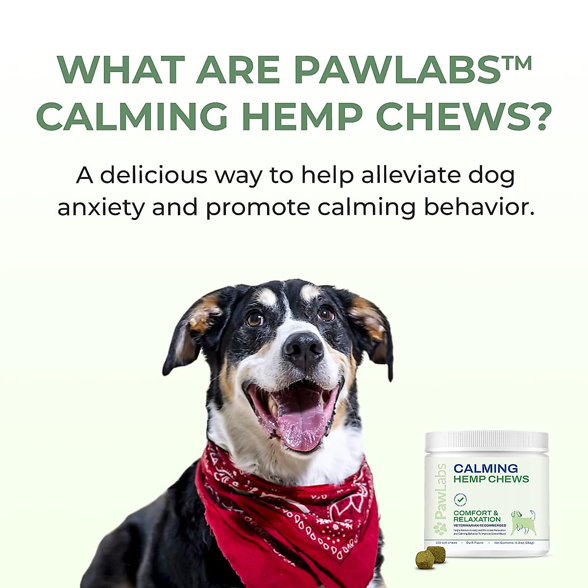 PAWLABS Calming Hemp Chews for Dogs - Relieve Anxiety & Stress - Organic Hemp, Chamomile, Protein Powder, Valerian Root - Natural Calming Aid - Vet Formulated, USA Made - Duck Flavor - 120 Count