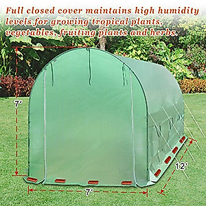 Strong Camel Portable Greenhouse Large Walk in Green Garden Hot House Outdoor Plant Tunnel Tent (12' X 7' X 7' (2))