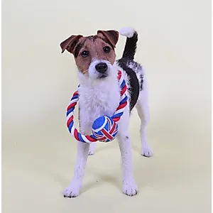 PET LONDON British Union Jack Rope Ring and Tennis Ball Dog Toy-English UK Colours for Dogs