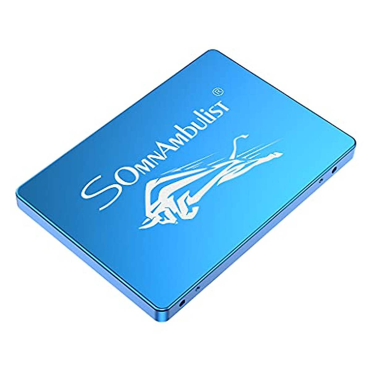 Somnambulist 2.5 inch SATA SSD120GB 240GB 60GB SATA3 Internal Ssd Solid State Hard Drive (Blue Cow-60GB)