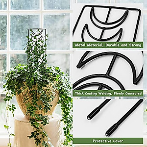 Tuitessine Moon Phase Trellis Indoor Plant Trellis Climbing Plant Small Garden Trellis for Potted Plant Houseplant Metal Wire Trellis Pot Trellis 2 Packs 14.1’’