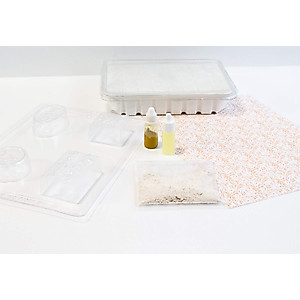 Life of the Party Oatmeal Vanilla Soap Making Kit,