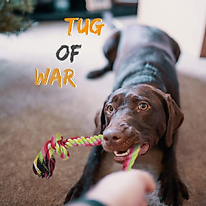 Plazenzon Dog Rope Toy for Aggressive Chewers Medium Bleed Small Dogs Indestructible Toys Chew Rope Ball Teething Pitbull Toys Puppies Outdoor Dog Toys