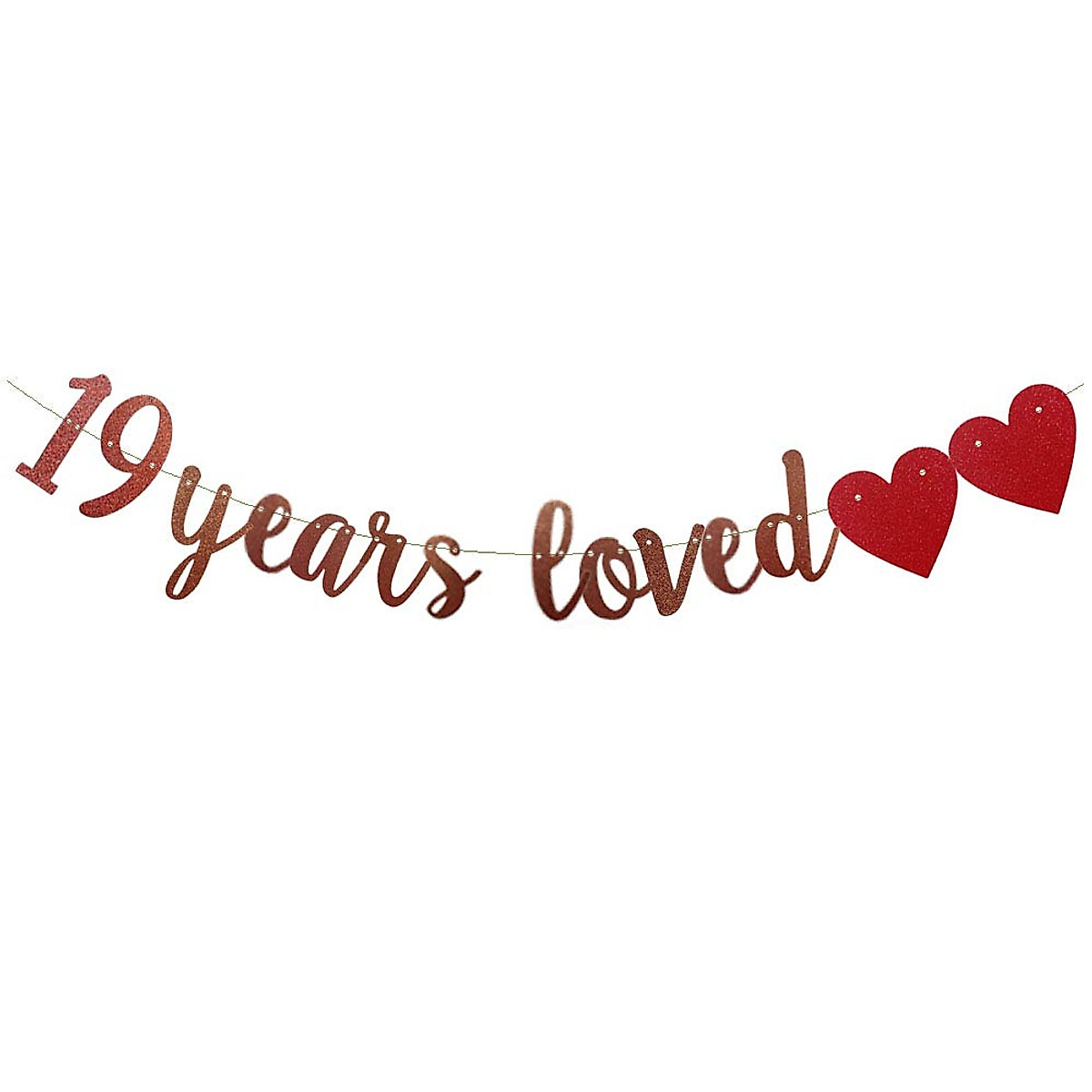 19 Years Loved Banner,Pre-Strung, Rose Gold Paper Glitter Party Decorations For 19TH Birthday Decorations 19TH Wedding Anniversary Day Party Supplies Letters Rose Gold ZHAOFEIHN
