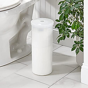 mDesign Plastic Floor Stand Toilet Paper Organizer with Cover, 3-Roll Space-Saving Tissue Storage for Bathroom - Fits Under Sink, Vanity, Shelf, in Cabinet, Corner - Aura Collection - Frost
