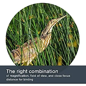 Celestron – Nature DX 8x42 Binoculars – Outdoor and Birding Binocular – Fully Multi-coated with BaK-4 Prisms – Rubber Armored – Fog & Waterproof Binoculars – Top Pick Optics