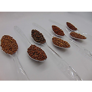 Large Radishing Collection-(1) 50pk Daikon, (1) 50pk Cherry Belle,(1) 50pk Sparkler White Tip, (1) 50pk Rambo, (1) 50pk Black Spanish Round, (1) 50pk Hailstone White, (1) French Breakfast Radish Seeds