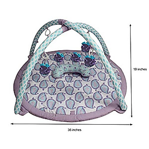 Bacati Isabella Girls Paisley Baby Activity Gym with Mat, Lilac/Purple/Aqua