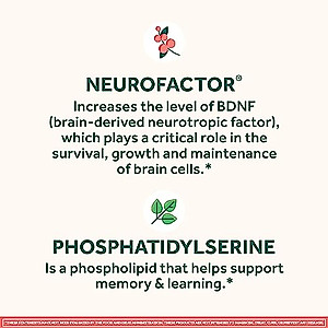 NEURIVA Brain Supplement for Memory & Focus with Phosphatidylserine & Neurofactor, Caffeine-Free Gummies