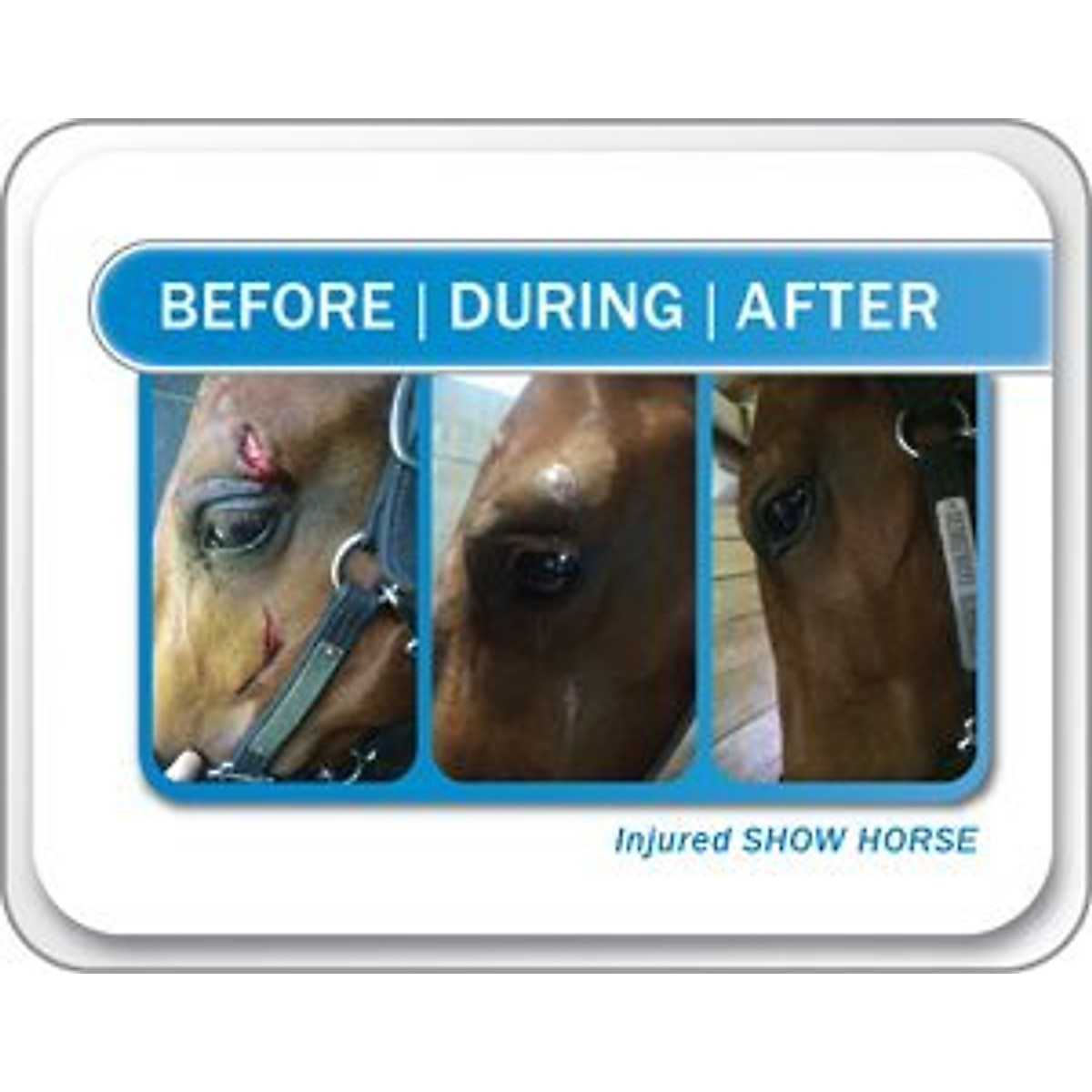 Champion Shield Silver Liquid Bandage, 4oz Gel Spray for Equine and Large Animal Wound Care, Woman Owned Small Business, Made in The USA