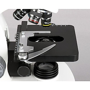 AmScope T340B-DK-LED Siedentopf Trinocular Compound Microscope, 40X-2000X Magnification, Brightfield/Darkfield, WF10x and WF20x Eyepieces, LED Illumination, Abbe Condenser, Double-Layer Mechanical Stage