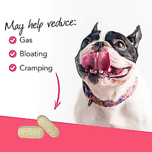 VetriScience Vetri Probiotic Bowel Defense and GI Support Supplement for Dogs, 120 Tablets