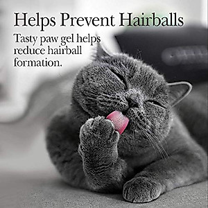 Nutri-Vet Cat Hairball Support Paw Gel - Hairball Remedy for Cats - Tasty Chicken Flavor - 3 oz