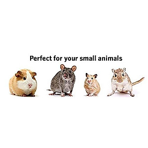 3-Levels Easy Collapsible Ferret Chinchilla Sugar Glider Rats Mouse Animal Critter Chew-Proof Metal Carrier Travel Cage with Narrow 3/8-Inch Bar Spacing Easy to Setup No Tools Needed Easy Storage