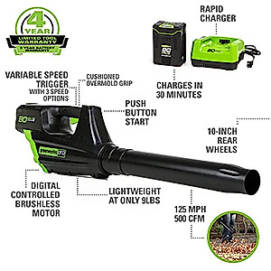 Greenworks Pro 80V (125 MPH / 500 CFM) Cordless Axial Leaf Blower, 2.0Ah Battery and Charger Included GBL80300