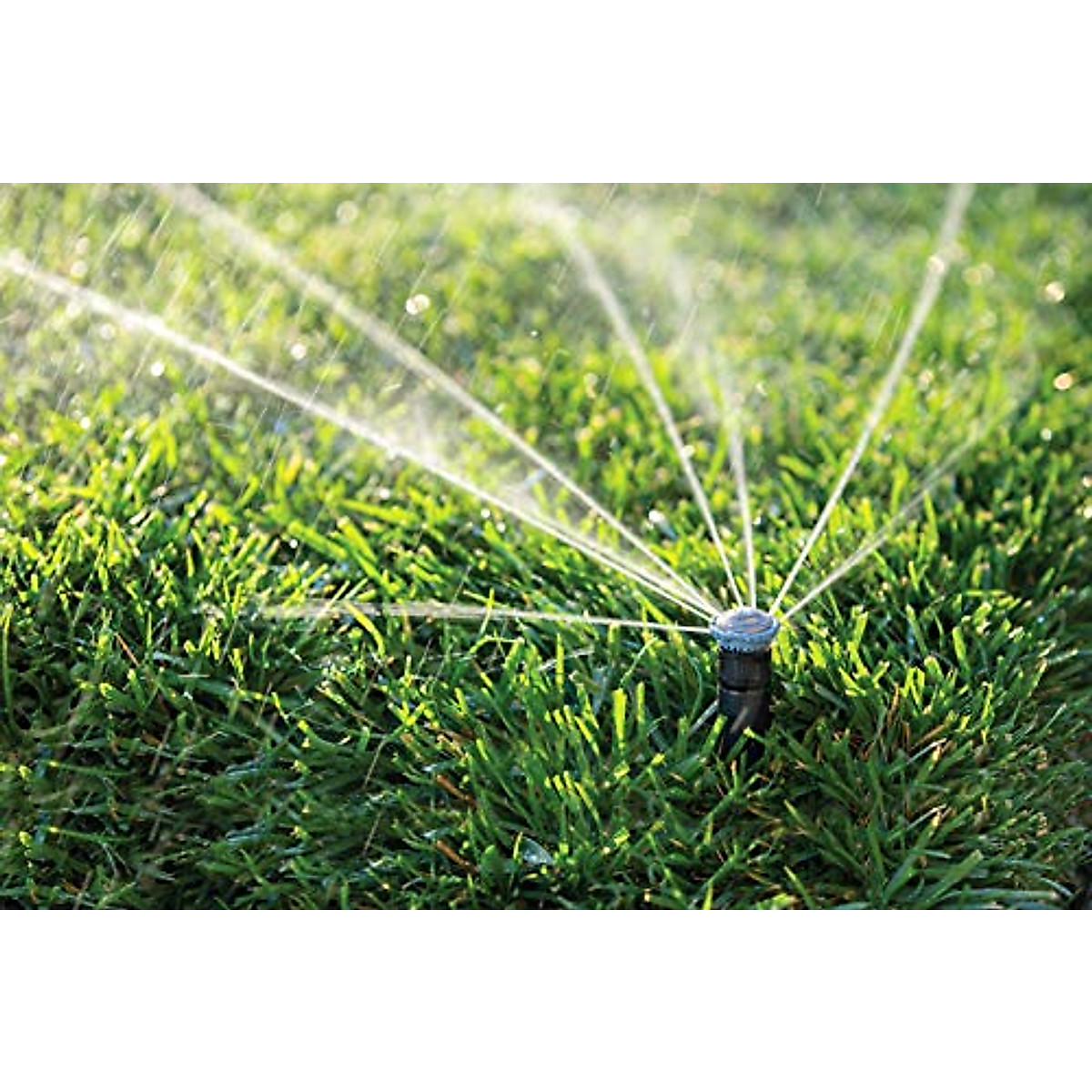 Rain Bird 14RNVAPRO High-Efficiency Pro Rotary Spray Nozzle, Hand Adjustable 45° - 270° Pattern, 8' - 14' Spray Distance