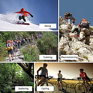 YUEDGE Men's Gym Tennis Running Training Athletic Socks Moisture Wicking Cotton Cushioned Crew Socks Black Tall Mens Socks For Men Plus Size 10-13, 6 Pairs