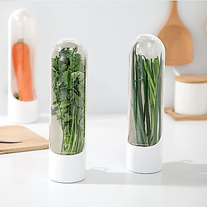 lygchii Herb Keeper for Refrigerator, 2pcs Fresh Cilantro Containers, Clear Herb Storage Container Glass, Keeps Vegetables Fresh for 2-3 Week for Cilantro, Mint, Parsley, Asparagus