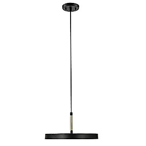 Globe Electric 60766 Novogratz x Globe Pendant, Matte Black with Brushed Brass