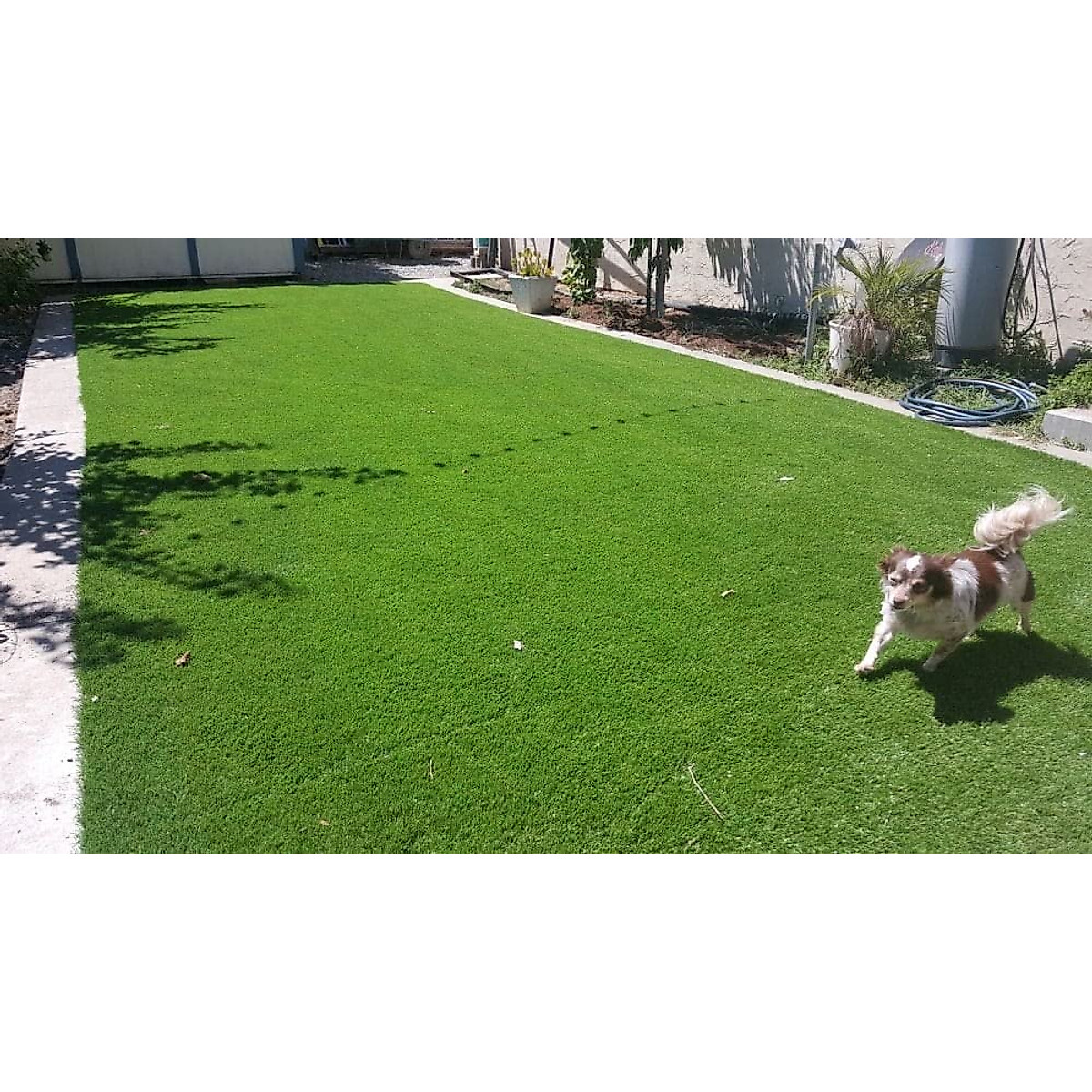 Artificial Turf Broom