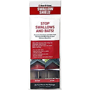Bird B Gone MMSWALLOW Swallow Shield, Clear