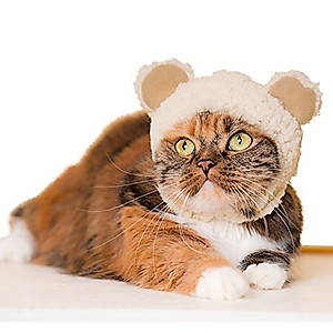 Kitan Club Cat Cap - Pet Hat Blind Box Includes 1 of 6 Cute Styles - Soft, Comfortable - Authentic Japanese Kawaii Design - Animal-Safe Materials, Premium Quality (Bear)