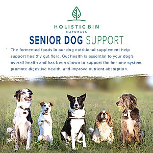 Canine Fermented Farm Superfood Dog Supplement | Vitamin & Mineral Rich Blend Packed with Dog Digestive Enzymes and Probiotics | Fermented Spinach, Pumpkin, Blueberry, Beets, & Turmeric for Dogs