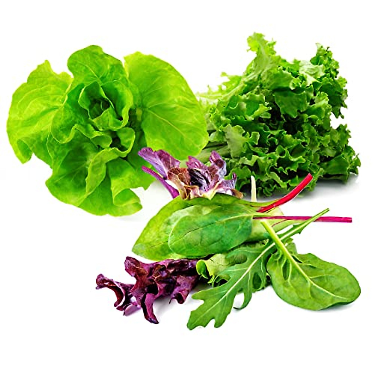 Lettuce Mix Seeds for Planting Home Garden Outdoors or Indoors - Variety Pack of Romaine - Butter - Gourmet Leaf Salad Blend Lettuce Combo Pack.