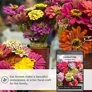 Sow Right Seeds - Carnation Chabaud Mix Flower Seeds for Planting - Beautiful Flowers to Plant in Your Home Garden - Non-GMO Heirloom Seeds - Cut Flower Perfect for Bouquets - Great Gardening Gift