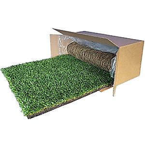 DoggieLawn Dog Potty - Real Grass - XLarge 24x48 inches