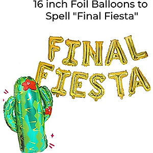 Final Fiesta Bachelorette Party Decorations/Fiesta Bridal Shower Decorations/Final Fiesta Banner Mexican Fiesta Theme Party Backdrop Decor Tropical Party, Luau Party, Mexican Themed Bachelorette