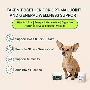 Wuffes Hip and Joint Supplement for and 23-in-1 Multivitamin Bundle for Dogs (Small & Medium Breed)