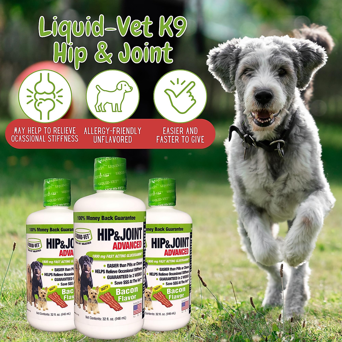 Liquid-Vet by COOL PET Holistics K9 Hip & Joint Advanced Formula, Bacon Flavor, 32 oz