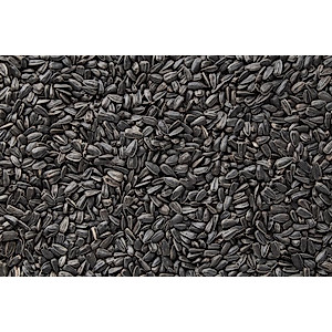5 Pounds Wild Bird Food, Black Oil Sunflower Seeds - Great for Songbirds, Finch, Cardinals