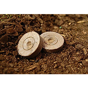 jiffy-7 Peat Pellet 36mm Seed Starting - 100 ea by Growers Solution
